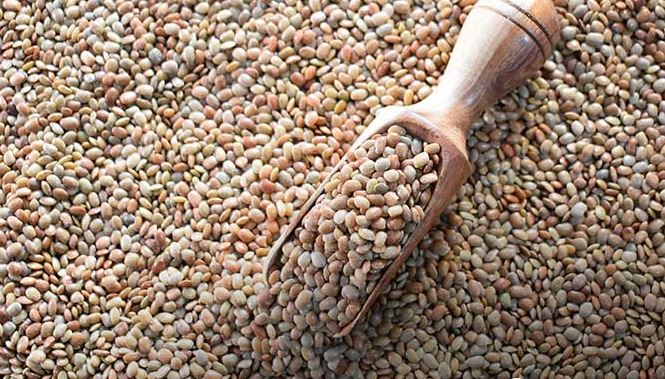 Health Tips Eat Kulthi Dal Remove Cholesterol and Sugar horse gram ...