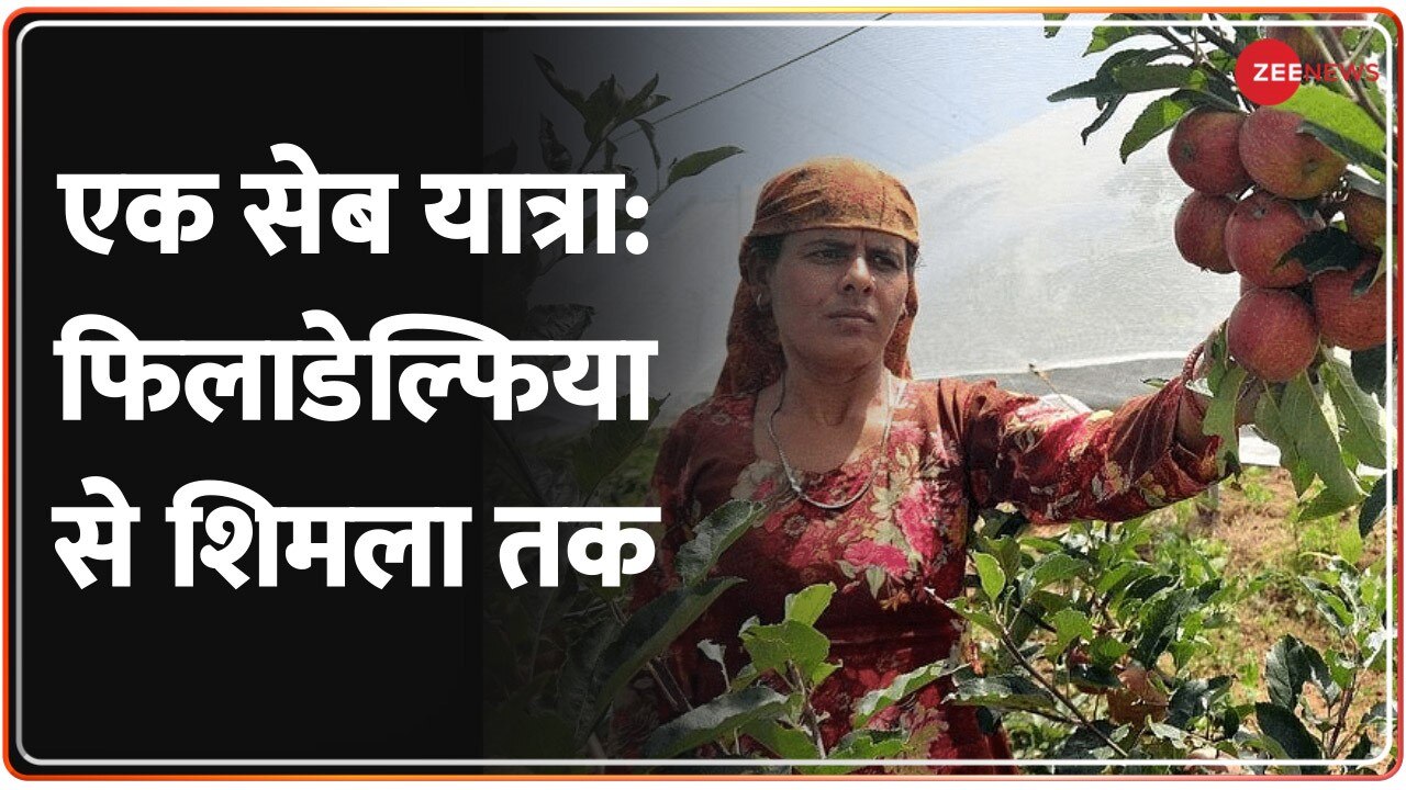 Story of Himachal Apples and Samuel Evan Stokes | Himachal Elections ...