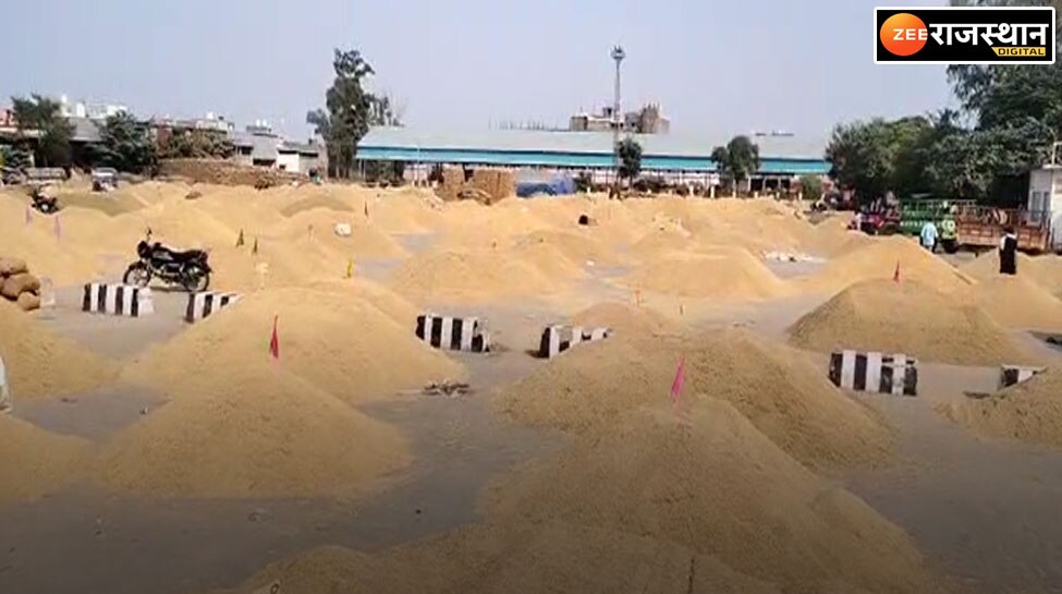 Baran News Auction of commodities lasted till late evening| बारां: डेढ़ लाख कट्टे धान की आवक ...