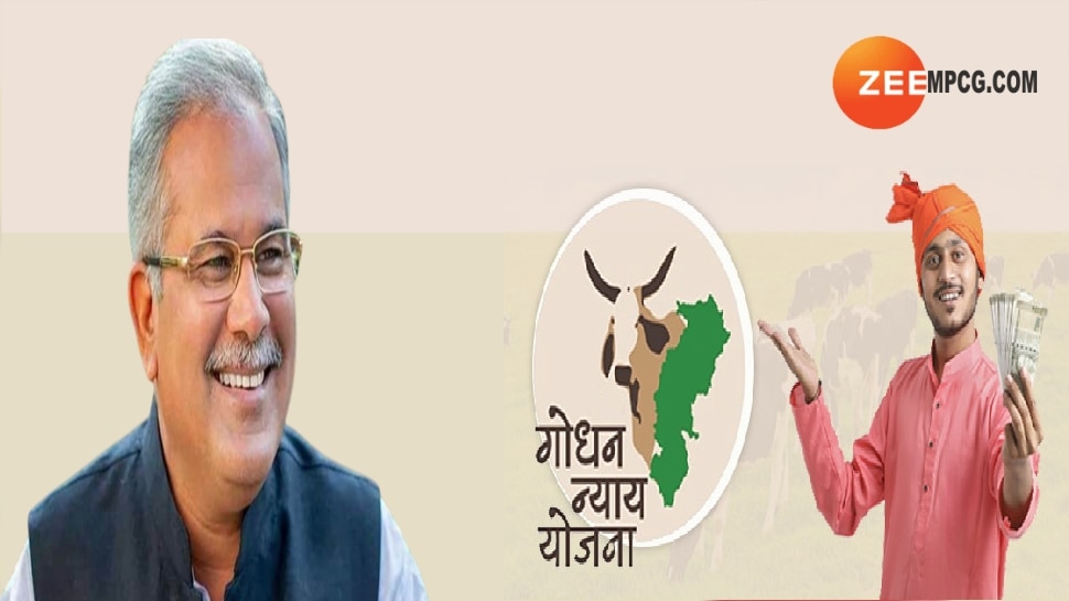 Godhan Nyay Yojana crore earning by gaumutra gobar CM Baghel transfer ...