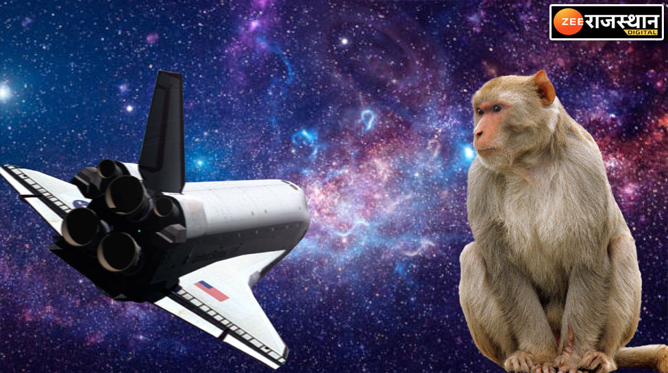 after Corona pandemic china target to space and send a monkey to reveal ...
