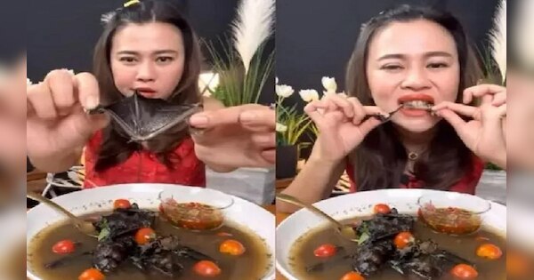 lady teacher drinking bat soup in thailand police take action after ...