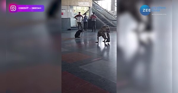 viral video of cisf javan personnel soldier giving training to dog ...
