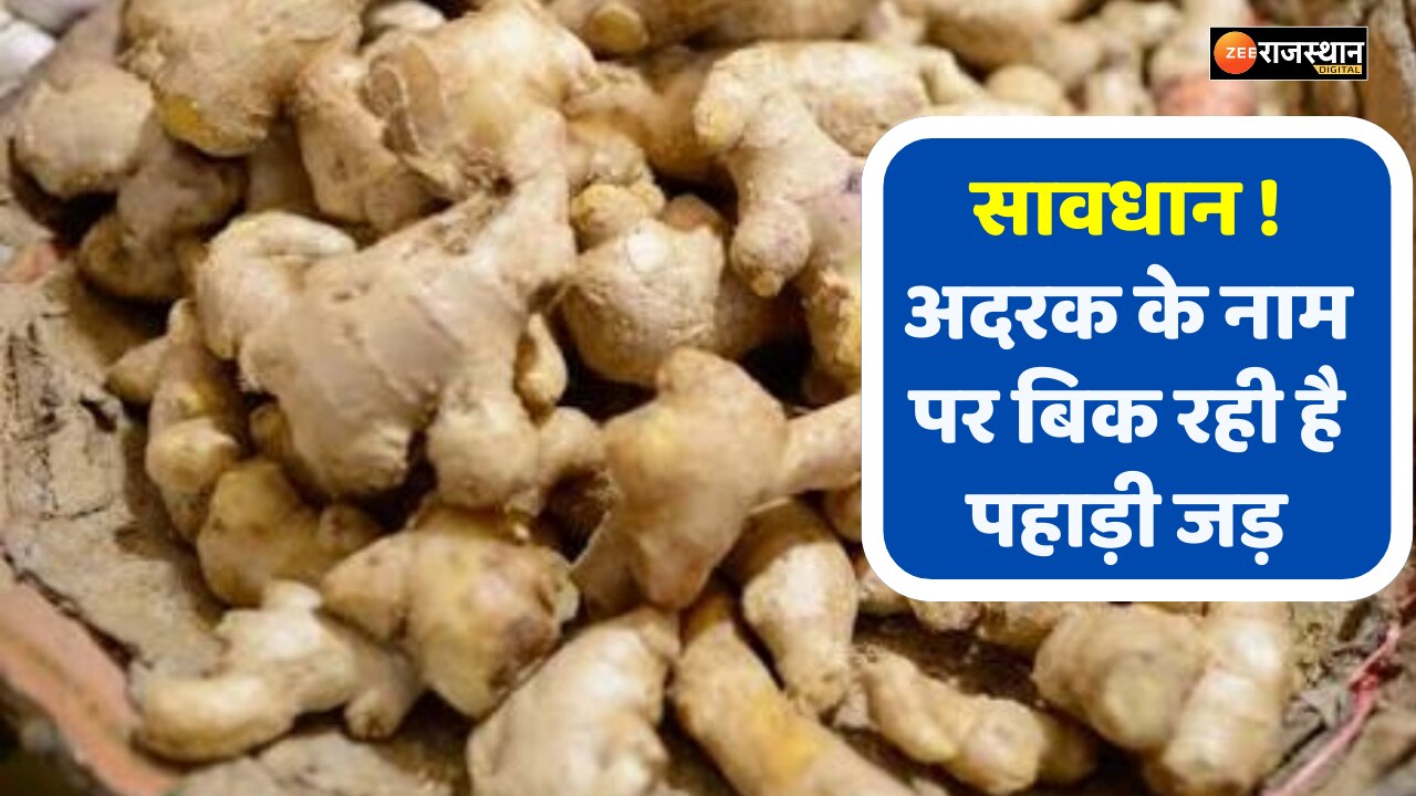 Fake Ginger Beware Pahari root is being sold in the name of ginger this ...
