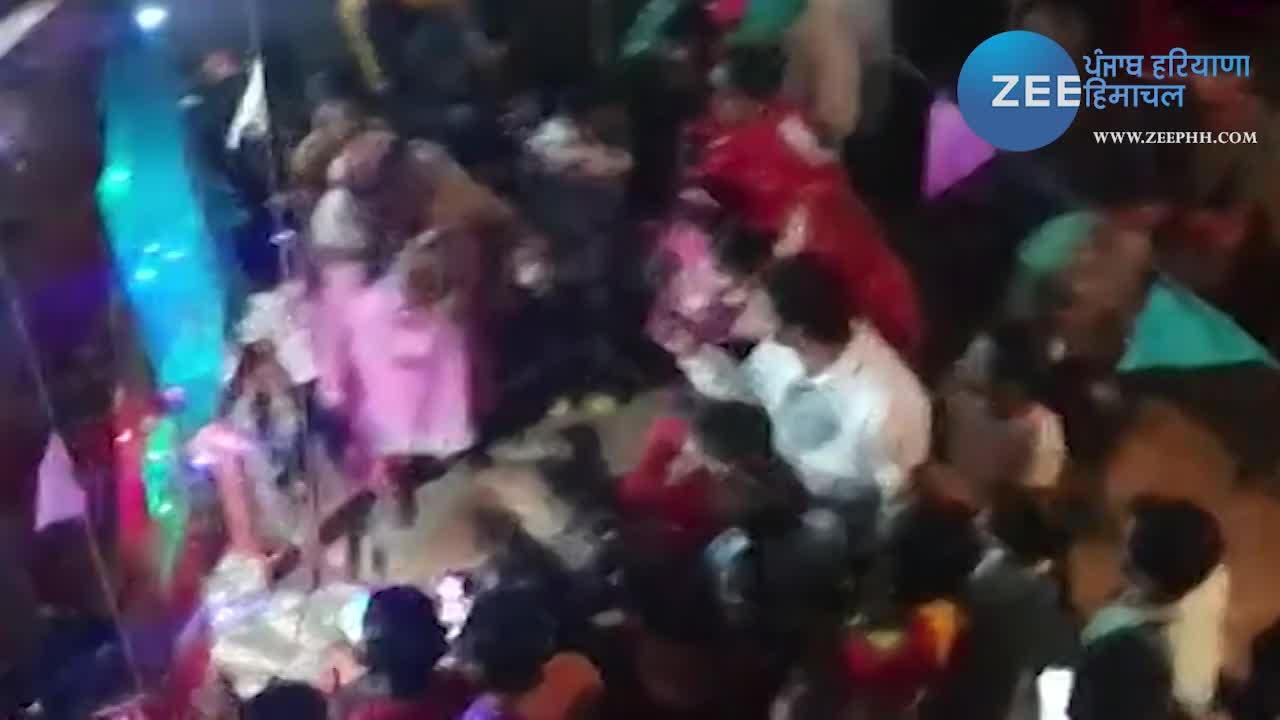 viral video of dog sheru and bitch sweety wedding gurugarm palam vihar ...