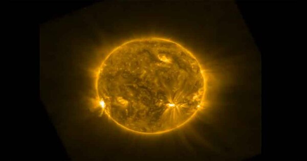 A giant Solar Snake is roaming on the sun this video revealed! | Solar ...