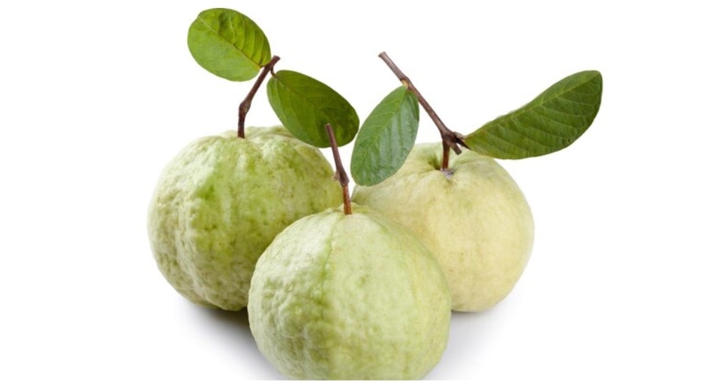 Guava fruit and guava leaf water Benefits for health and beauty ...