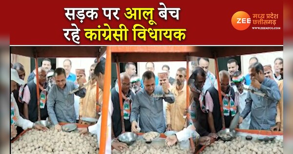 Bilaspur Congress Mla Shailesh Pandey Viral Video Selling Potatoes Stmp