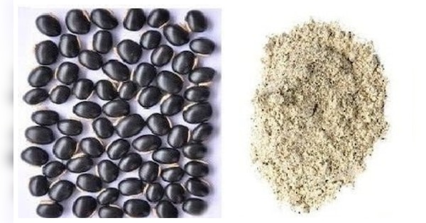 velevet beans health benefits kaunch seeds powder drinking with milk ...