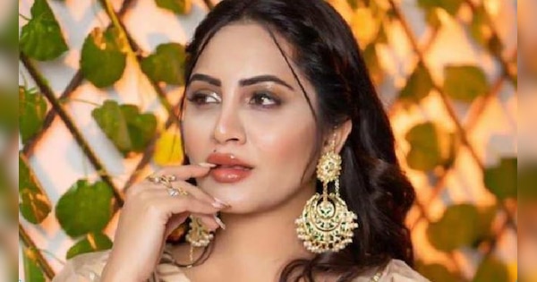 Bigg Boss fame Arshi Khan set to tie the knot with her businessman ...