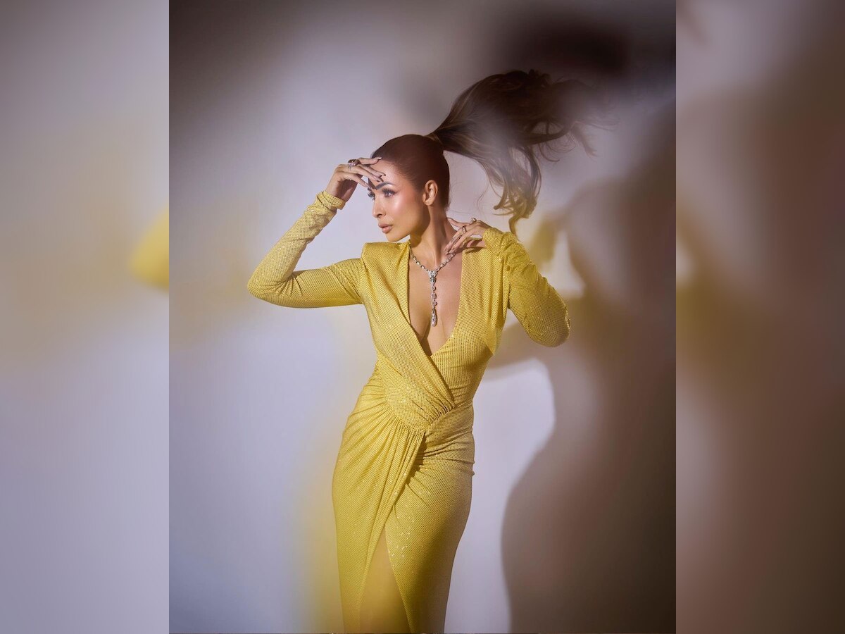 malaika arora revealing body bold sexy photos too hot to handle actress ...