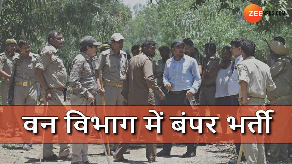 MP Forest Guard Recruitment VanRakshak Vacancy Online Application full ...