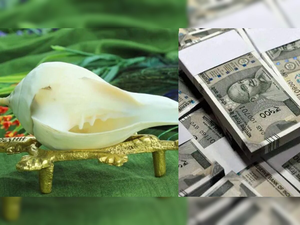 Good Luck Charm: 2023 शुरू होने से पहले घर ले आएं ये शुभ चीजें, पूरे ...