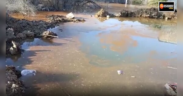 Niwai News Wheat crop damaged due to leakage in pipeline thousands of ...