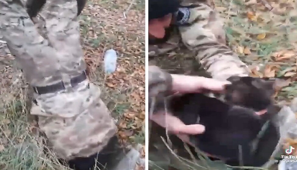 army men saves dog life when it was stuck in drain of gutter video ...