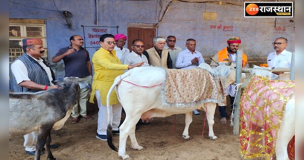 Ahinsha Yatra to declare cow as national animal welcomed on reaching ...