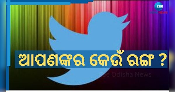Announced by Twitter owner Elon Musk, Who gets what color In Twitter