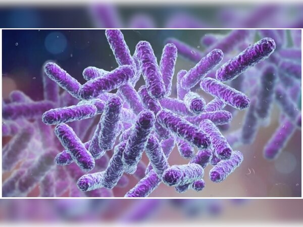 World Most Dangerous Bacteria Infection which killing people in india ...