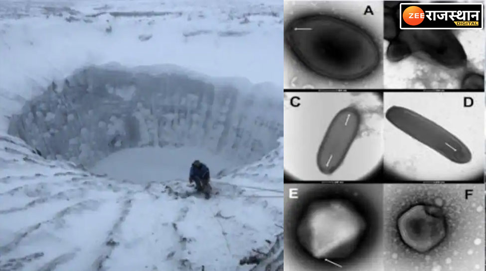 Zombie Virus These 13 deadly viruses were buried in frozen snow for ...