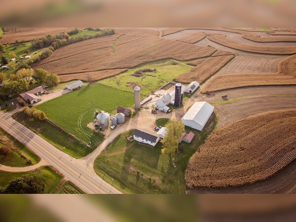 precious ring Found in british farm man becomes rich overnight | Viral ...