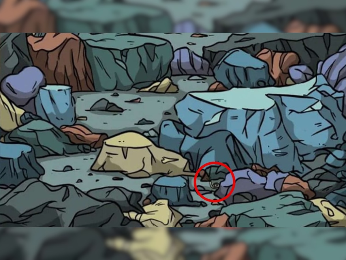 optical illusion viral image can you find the hidden snail among these ...