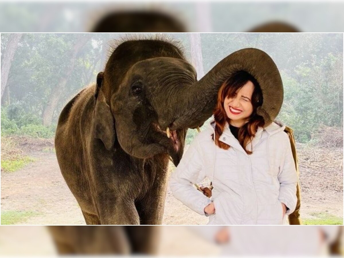 IAS Krati Raj sometimes seen riding a horse and sometimes a bullet see ...