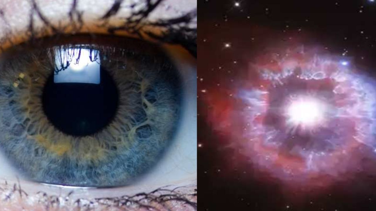 human body itself shows the map of the universe physical similarities ...