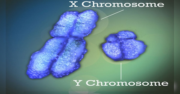 why male are continuously missing y chromosome is this syndrome a ...