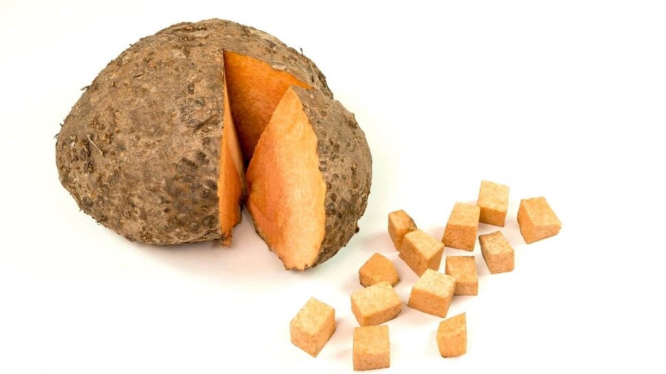 Suran vegetable and chutney very beneficial fr health winter benefits ...