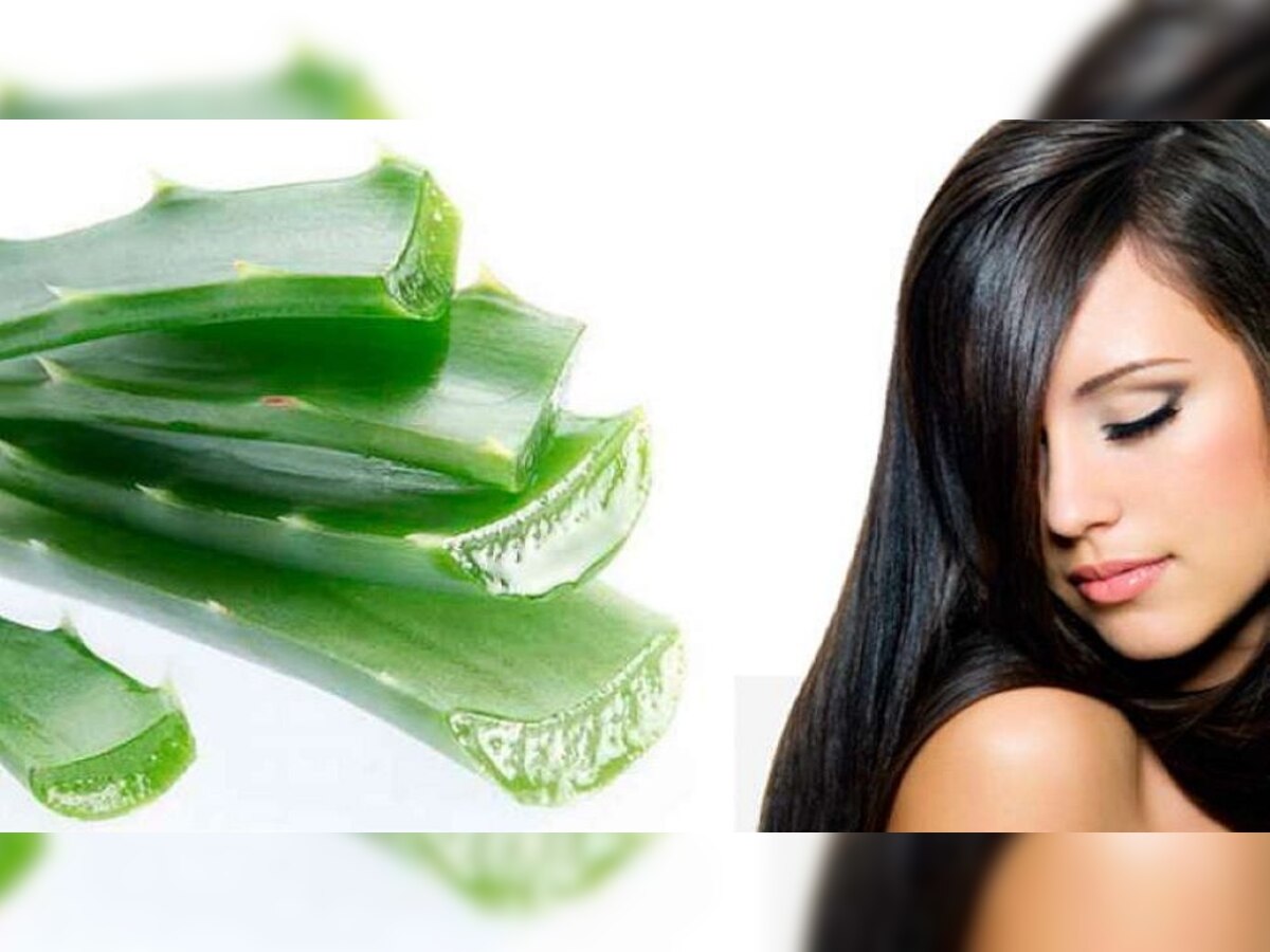 hair care tips use this thing to increase the volume of hair vidya ...