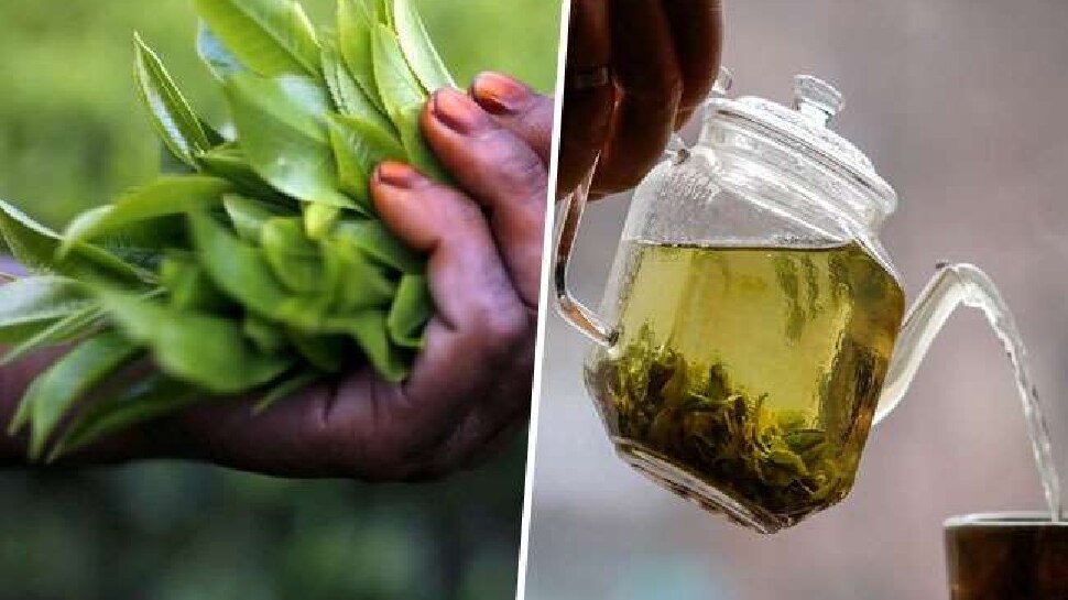 Famous Tea Of India 8 Different Flavours Of Chai Growning Diffrent ...