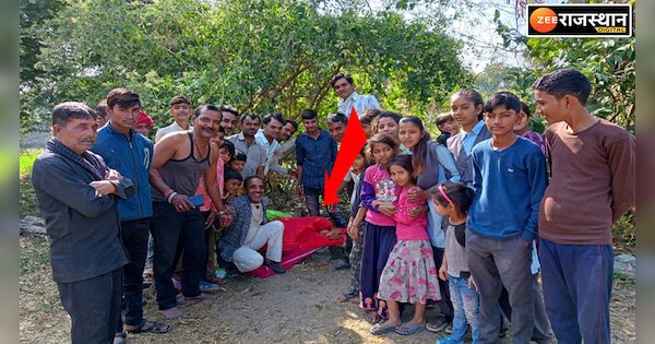 Bari Sadri Monkey died due to cold wave now villagers will perform its ...