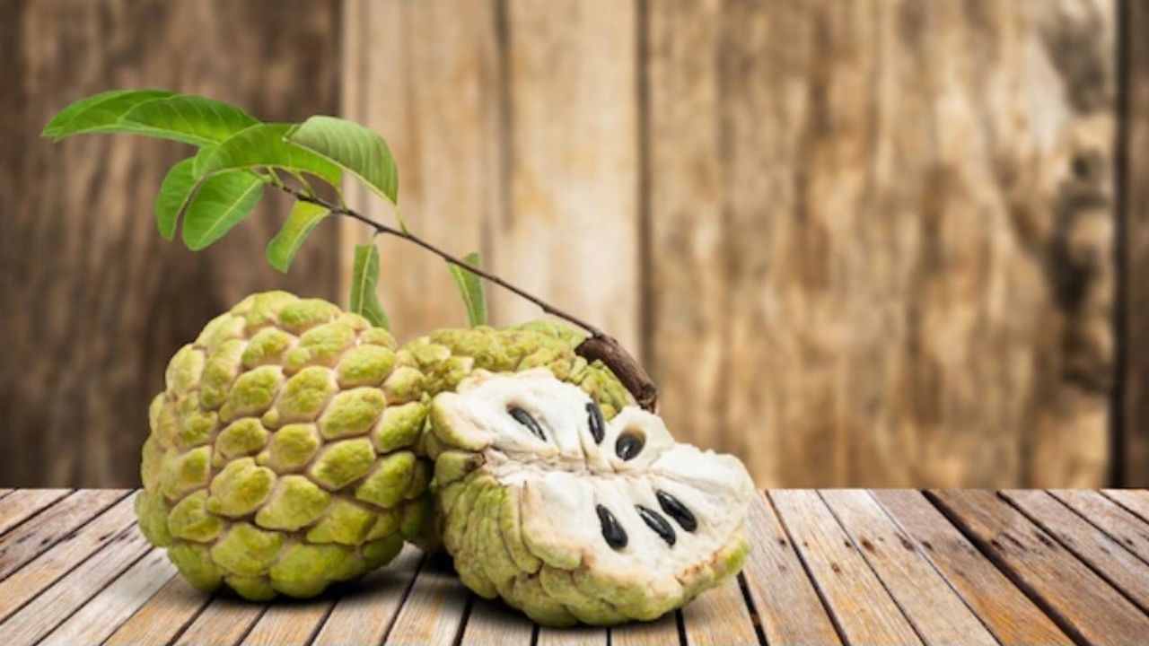 benefits to the body by eating custard apple Farmers are getting rich ...