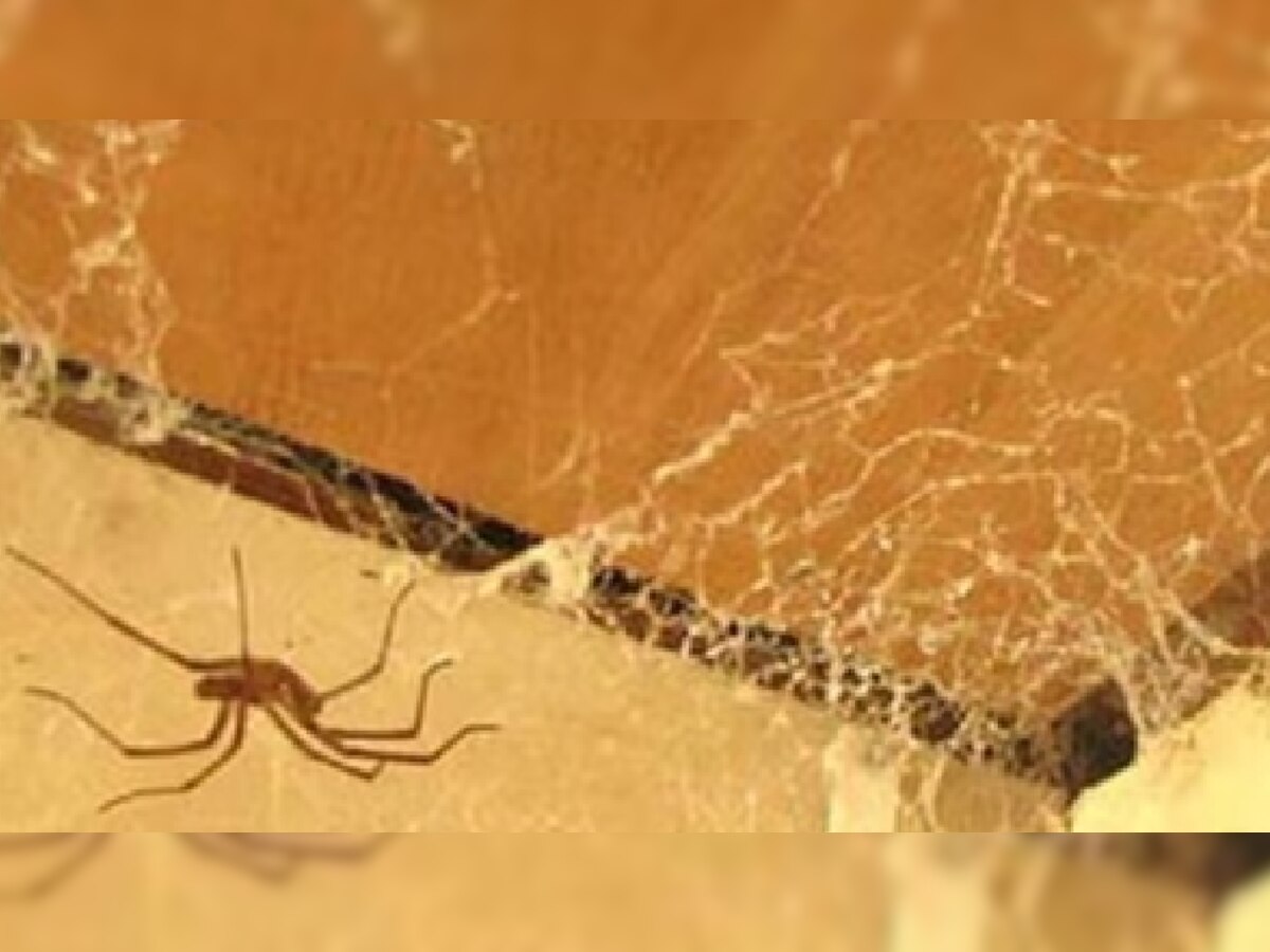 vastu tips for home know position and direction of items at house for ...