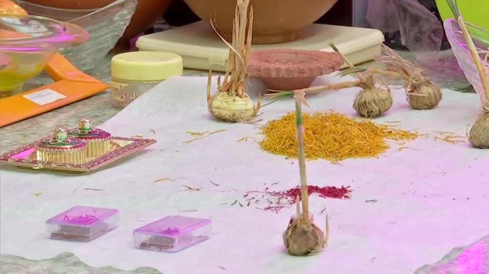 software engineer Shailesh Modak Started Saffron Farming In Maharashtra ... software engineer Shailesh Modak Started Saffron Farming In Maharashtra ...
