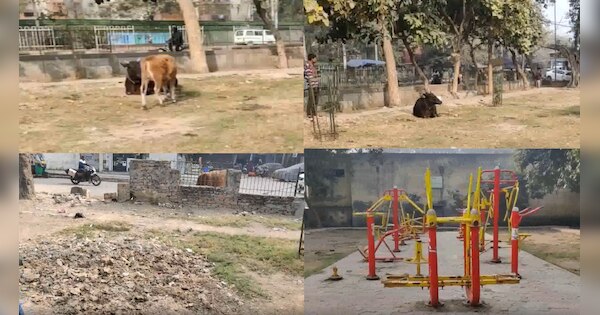 delhi mcd timarpur ward parks of timarpur are dirty walls broken delhi ...