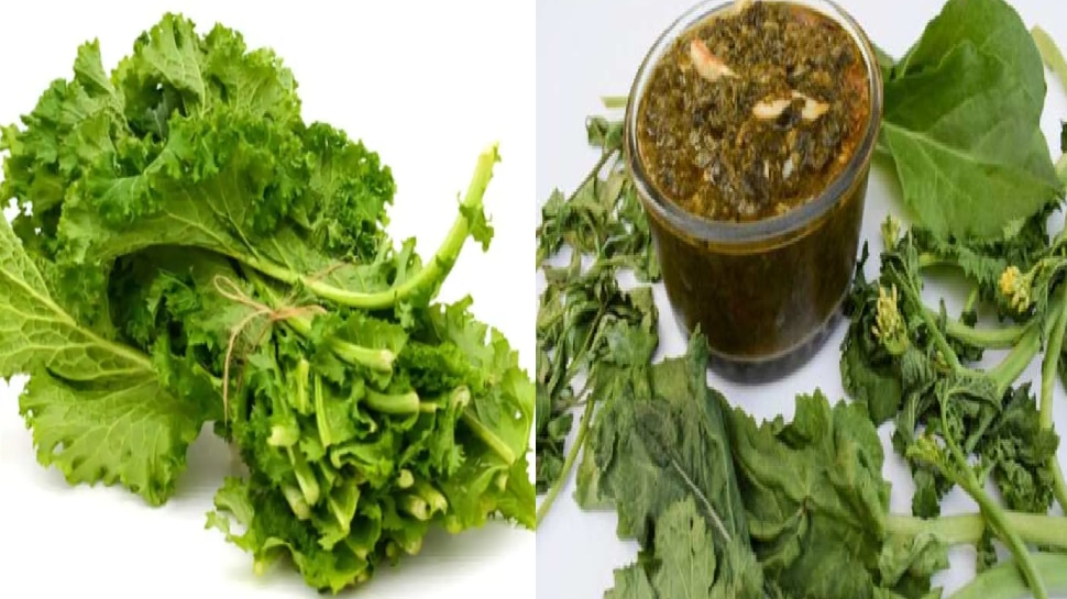 winter food eat mustard leaves know health benefits of sarso saag in ... winter food eat mustard leaves know health benefits of sarso saag in ...