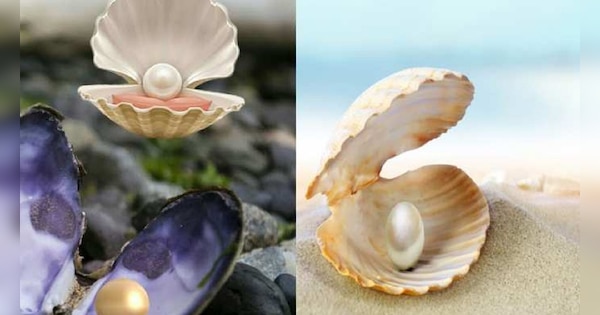 Moti Ratna benefits of wearing pearl know when and how to wear them ...