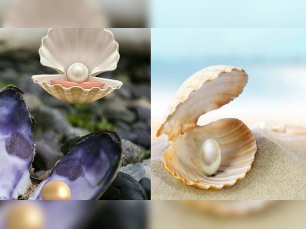 Moti Ratna benefits of wearing pearl know when and how to wear them ...