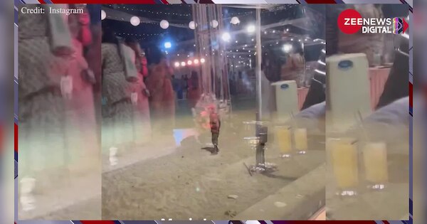 delivery boy dancing outside wedding hall on music goes viral see video ...