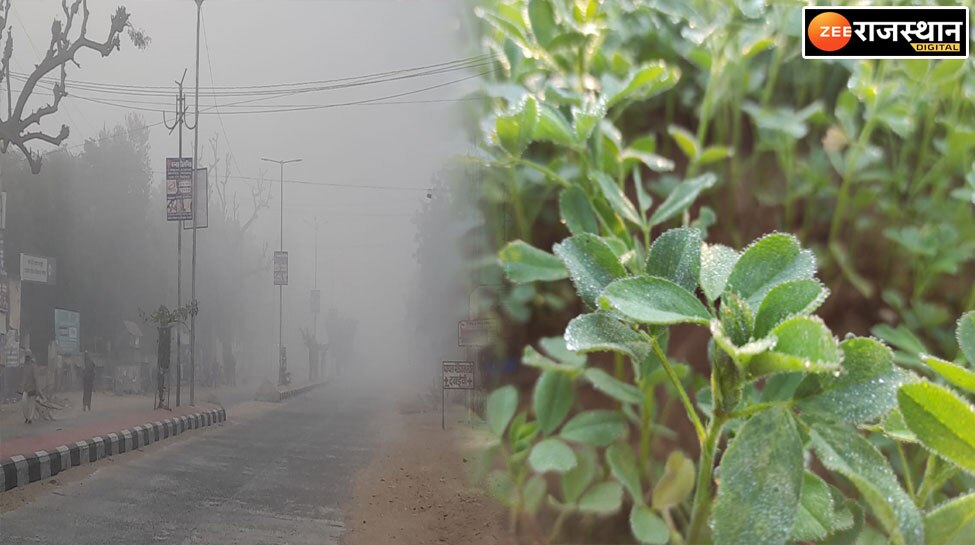 Sikar weather forcast temperature reached minus degree |सीकर में ठंड का ...