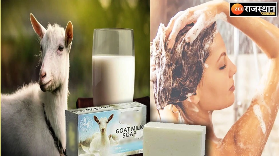 Shiv Barmer Soap made from goat milk such a tremendous advantage that ...