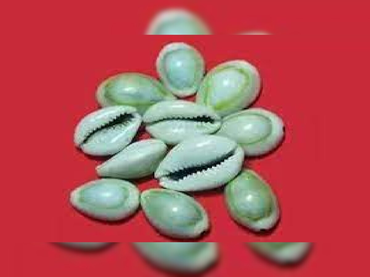 Astrology tips for saffron know Miracle upay kesar for good wealth Fate paisa kamane ke upay ...