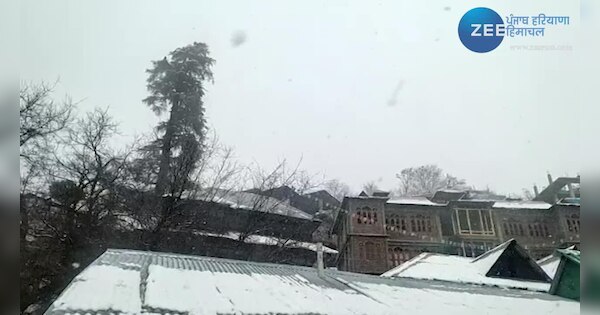 Snowfall in Shimla Kinnaur watch video know Himachal Pradesh weather ...