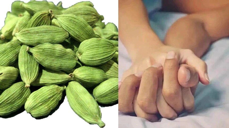 Benefits of Cardamom Men Health Tips Eat two cardamoms with milk at ...