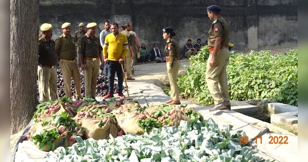 positive news Inmates Mainpuri jail grow vegetables supplied to many ...