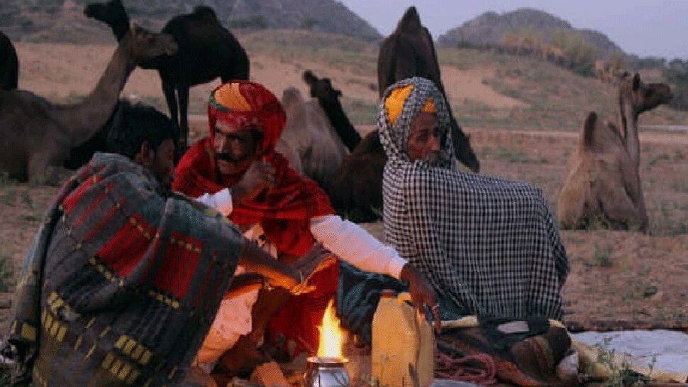 Rajasthan Weather Update Winter showed sharp attitude severe cold ...