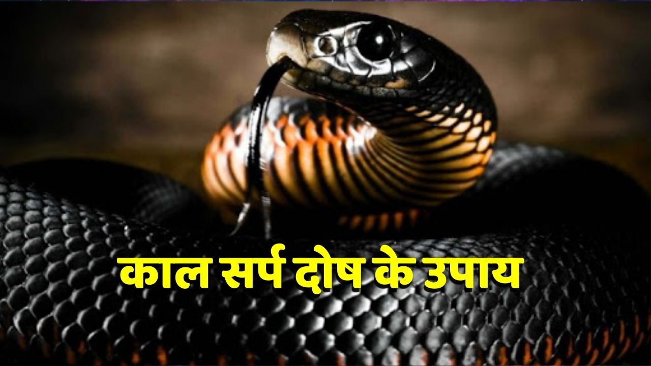 kaal sarp dosh Kaal Sarp Dosh makes life miserable know the remedies ...