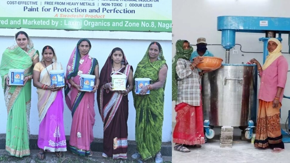 Chhattisgarh Govt buildings Will Painted with Cow Dung Paint in Order ...