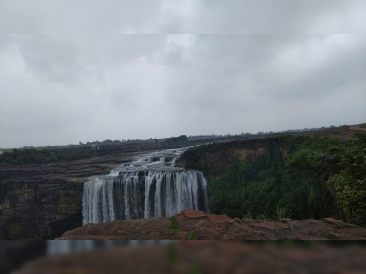 Rewa Famous Places to Visit: मध्य प्रदेश का अद्भुत शहर है रीवा! शहर की ...